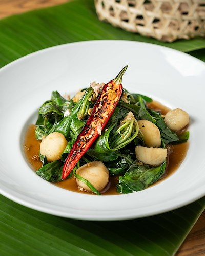 Our Menus - Taste of Thailand | Takieng Thai Restaurant Phuket Mai Khao